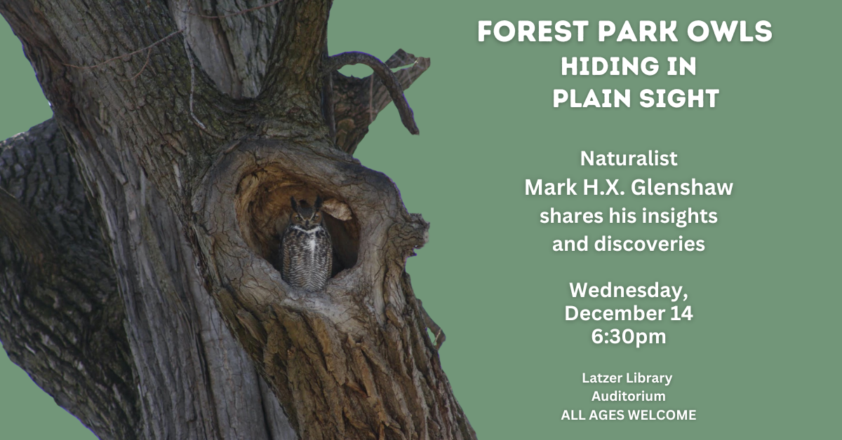 Forest Park Owls with Mark H.X. Glenshaw | Louis Latzer Public Library